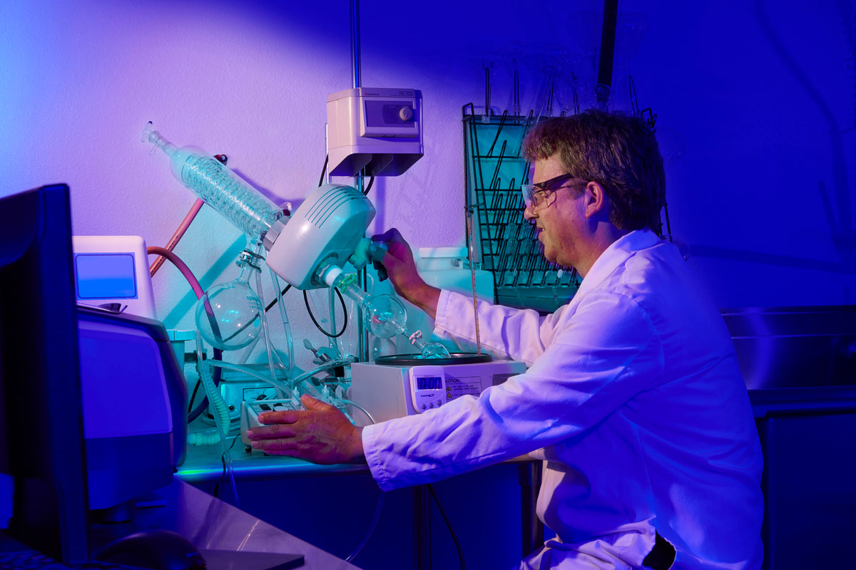 Hot Water Extraction Untapped – Mushroom Science