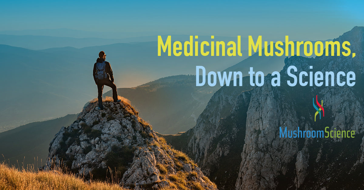 Mushroom Science: Quality Medicinal Mushroom Supplements