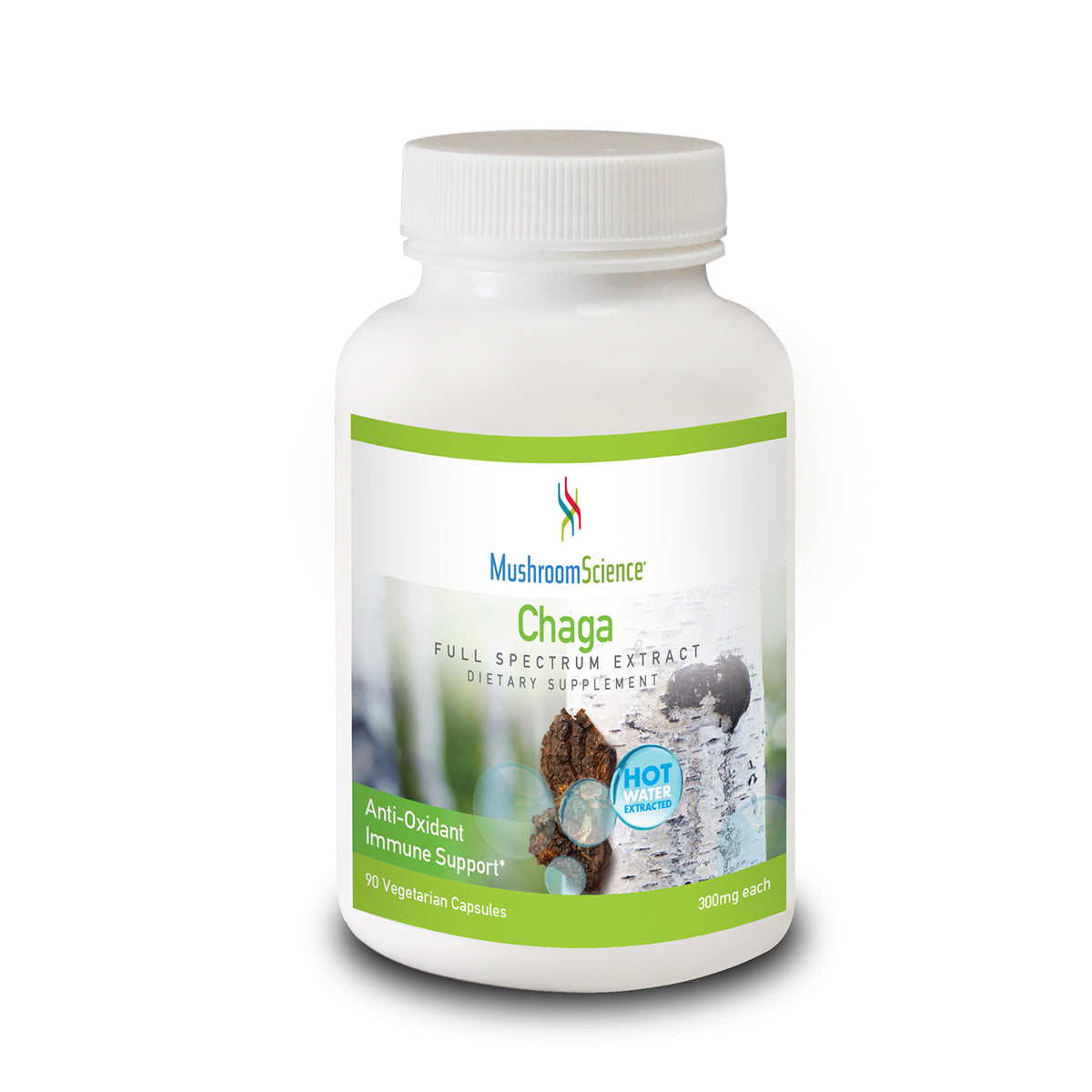 Chaga Mushroom Supplement – Mushroom Science